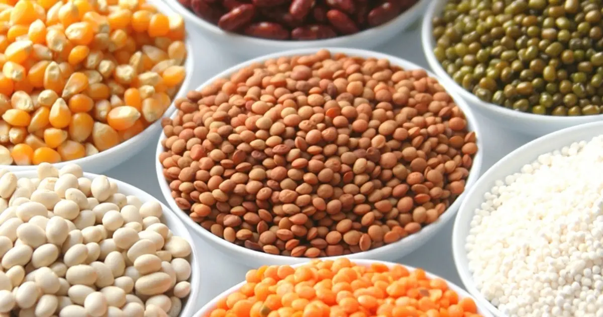 Kuru Bakliyatlar Nasıl Hazırlanır?