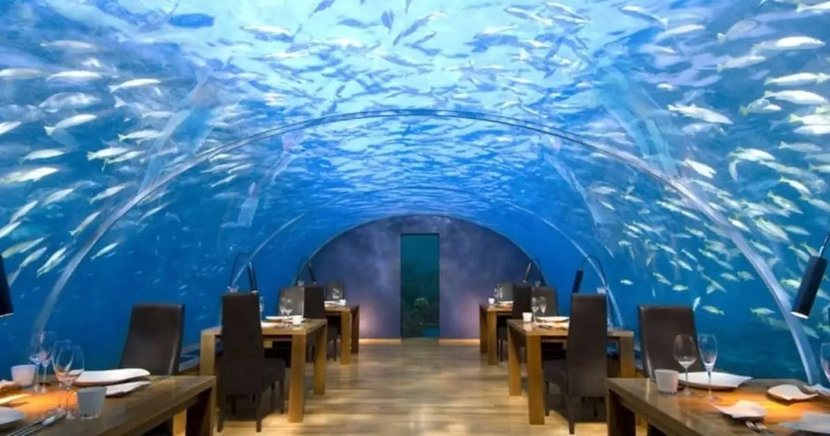 Gidebileceğiniz Sualtı Restoranları