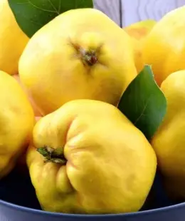 Tam Ölçülü, Pratik ve Kolay Yemek Tariflerini Keşfet | Yemekte Keyif Var